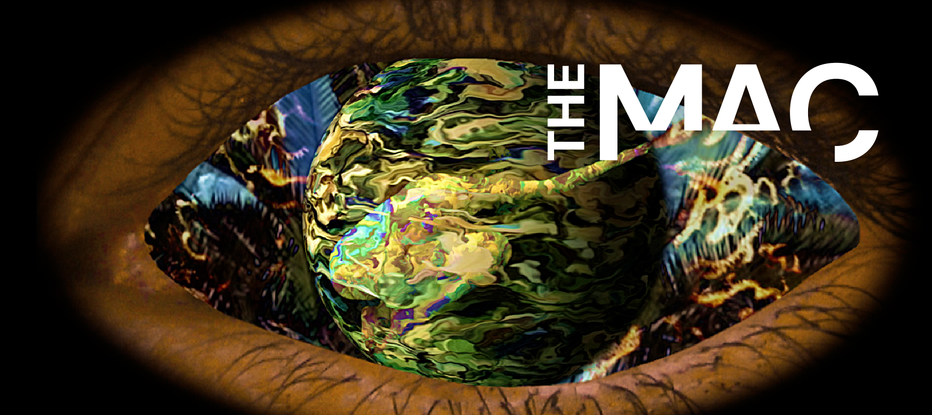 Naomie Kremer: Seer – Napa Valley Museum